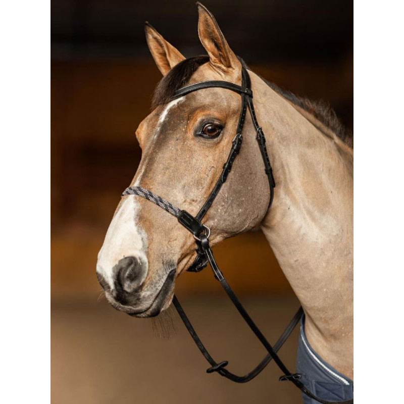 Bridon sans mors Freedom HFI