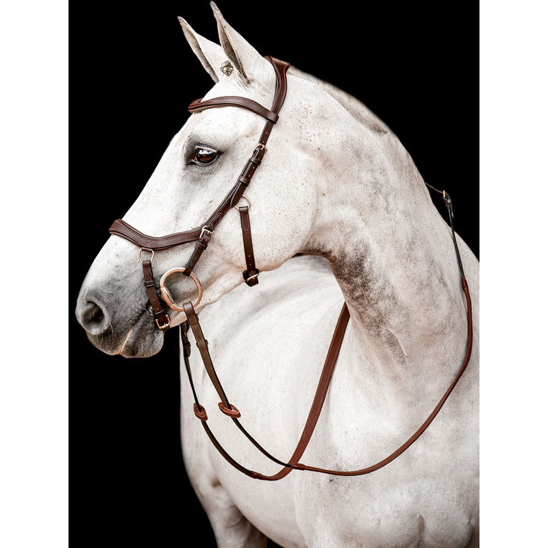 Bridon de compétition Micklem 2 Horseware